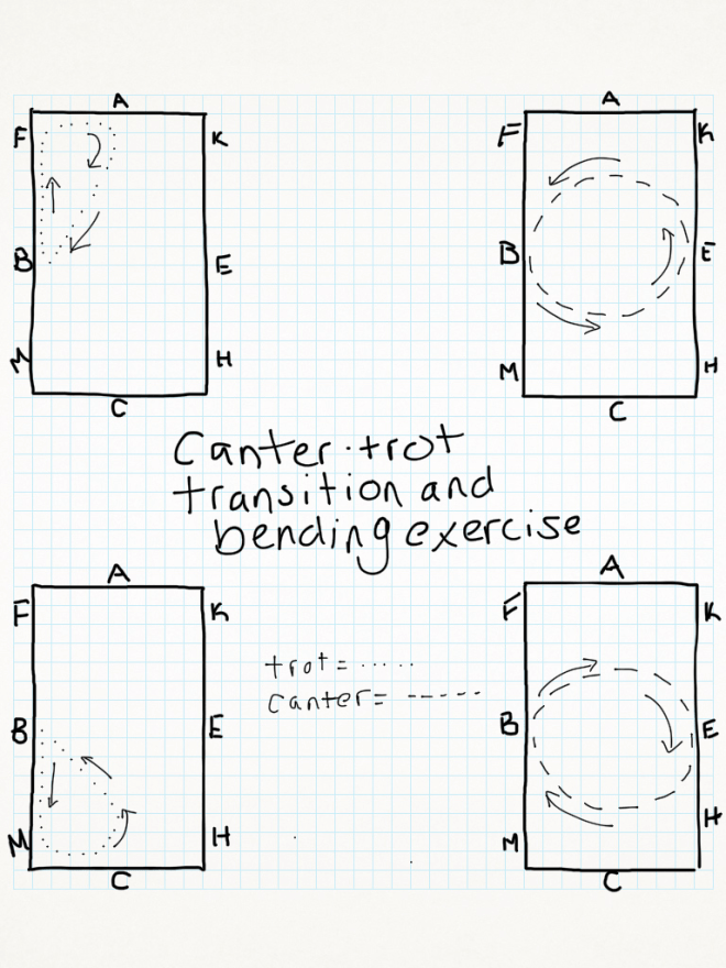 A Useful Trot/Canter Transition Exercise – fromcantertopirouette